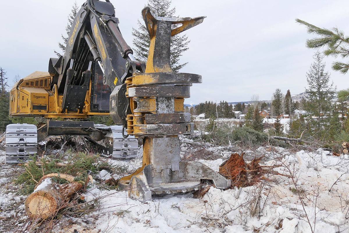 Logging in Centennial Park – Max Winkelman